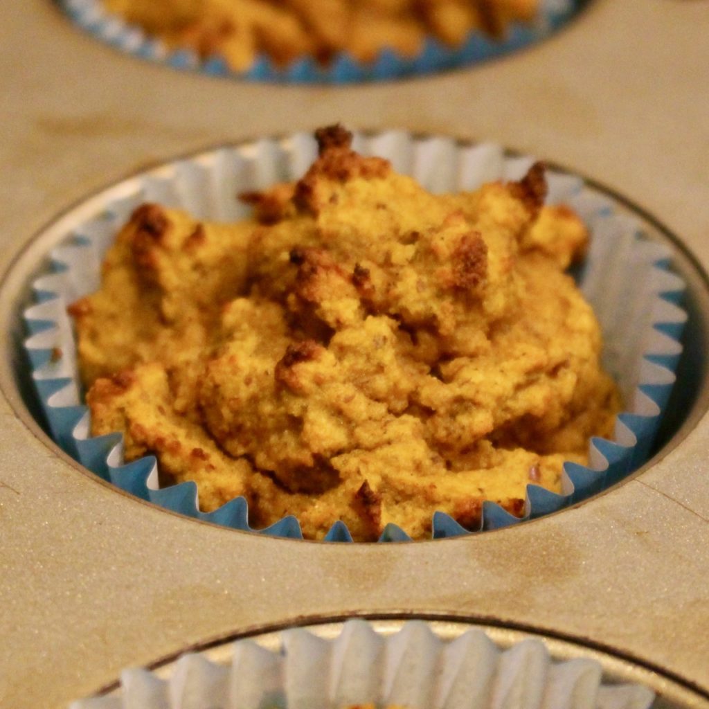 Low-Carb, High-Fat Omega Pumpkin Bites - Generative Wellness